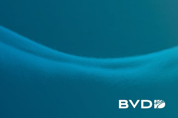 Berufsverband der Deutschen Dermatologen | BVDD